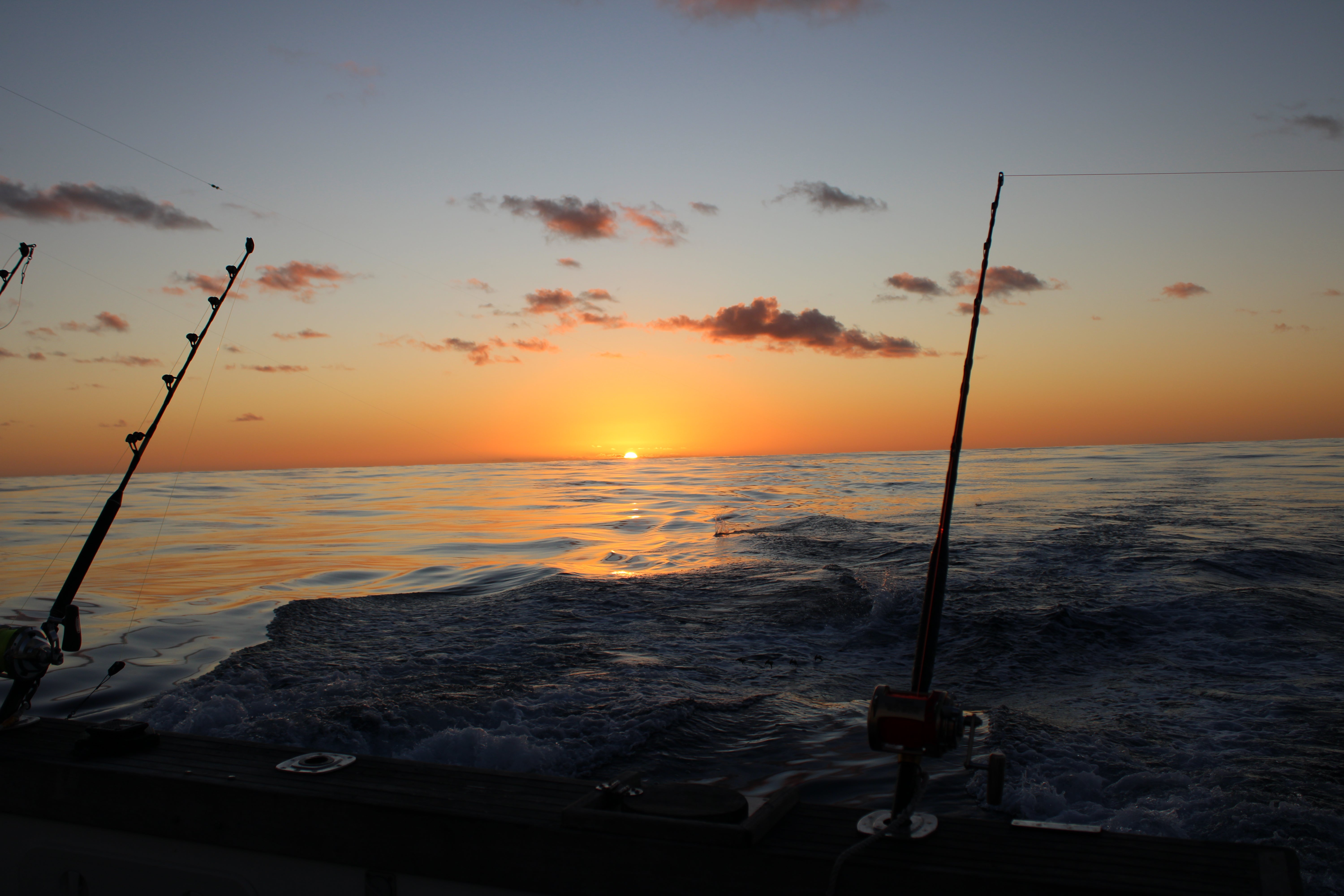 Game fishing reels – Warren Hay Marine