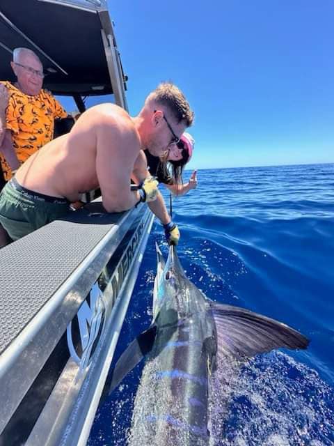 Game Fishing NZ | Lures, Gear & Tackle – Warren Hay Marine