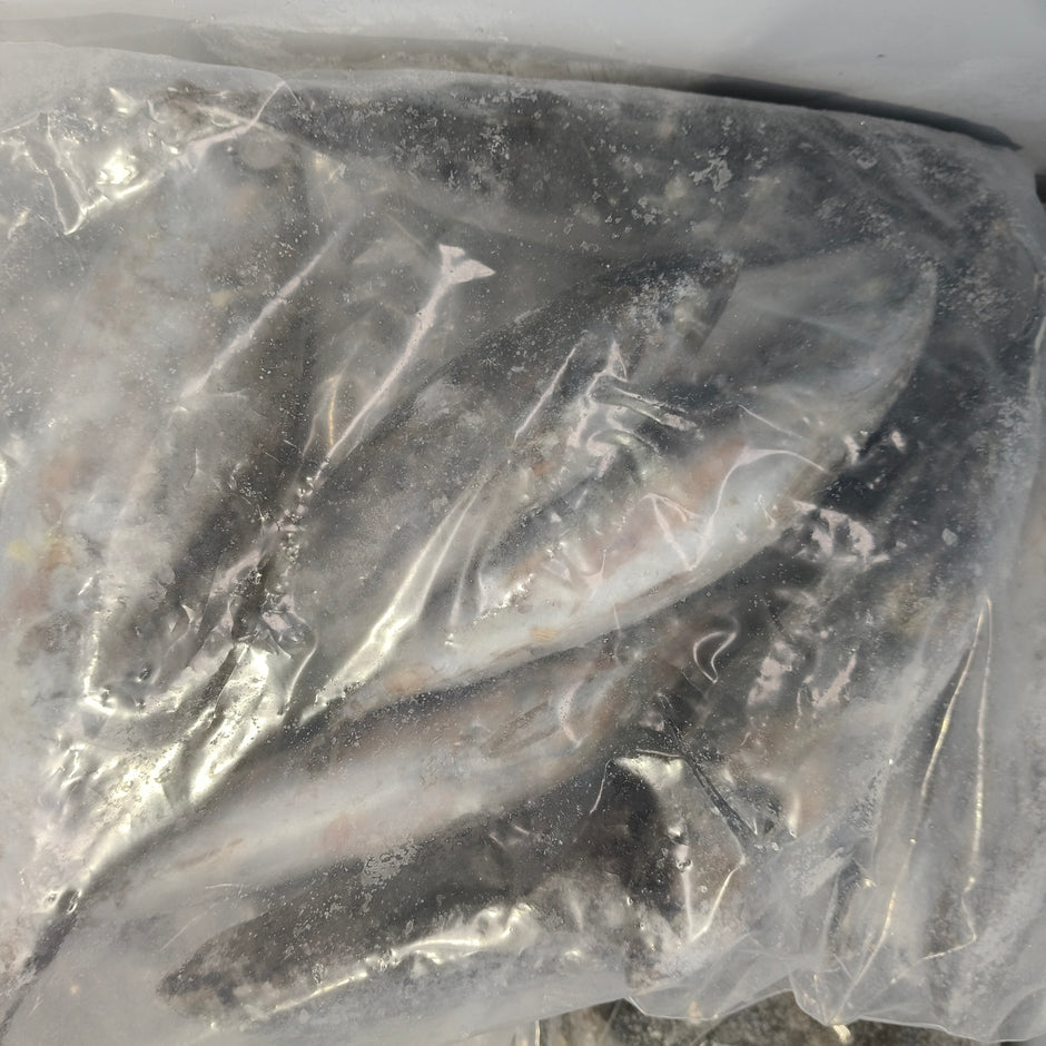 Bait and Berley – Warren Hay Marine