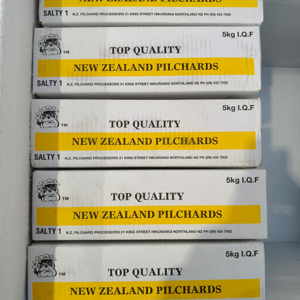 5kg Pilchards, Free flow. fish bait – Warren Hay Marine